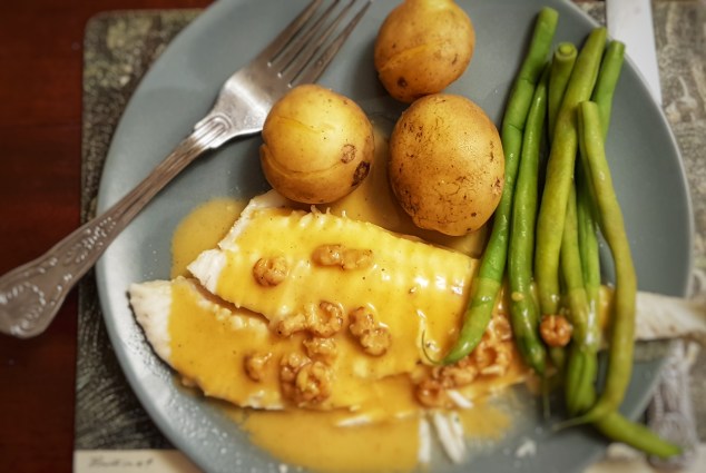 #444 Poached Turbot with Shrimp Sauce – Neil Cooks Grigson